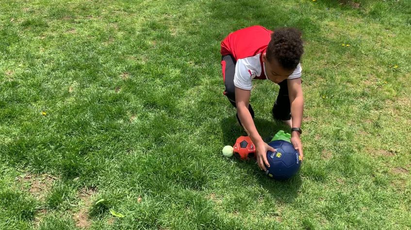 Pull the Tail - Viking Sports