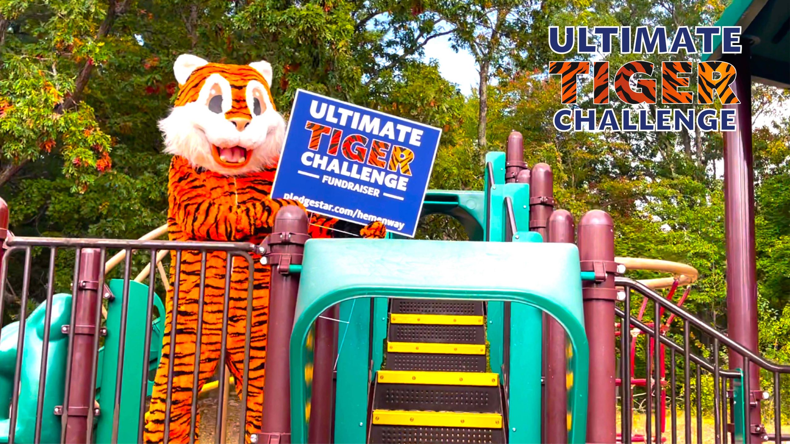 Ultimate Tiger Challenge - Viking Sports
